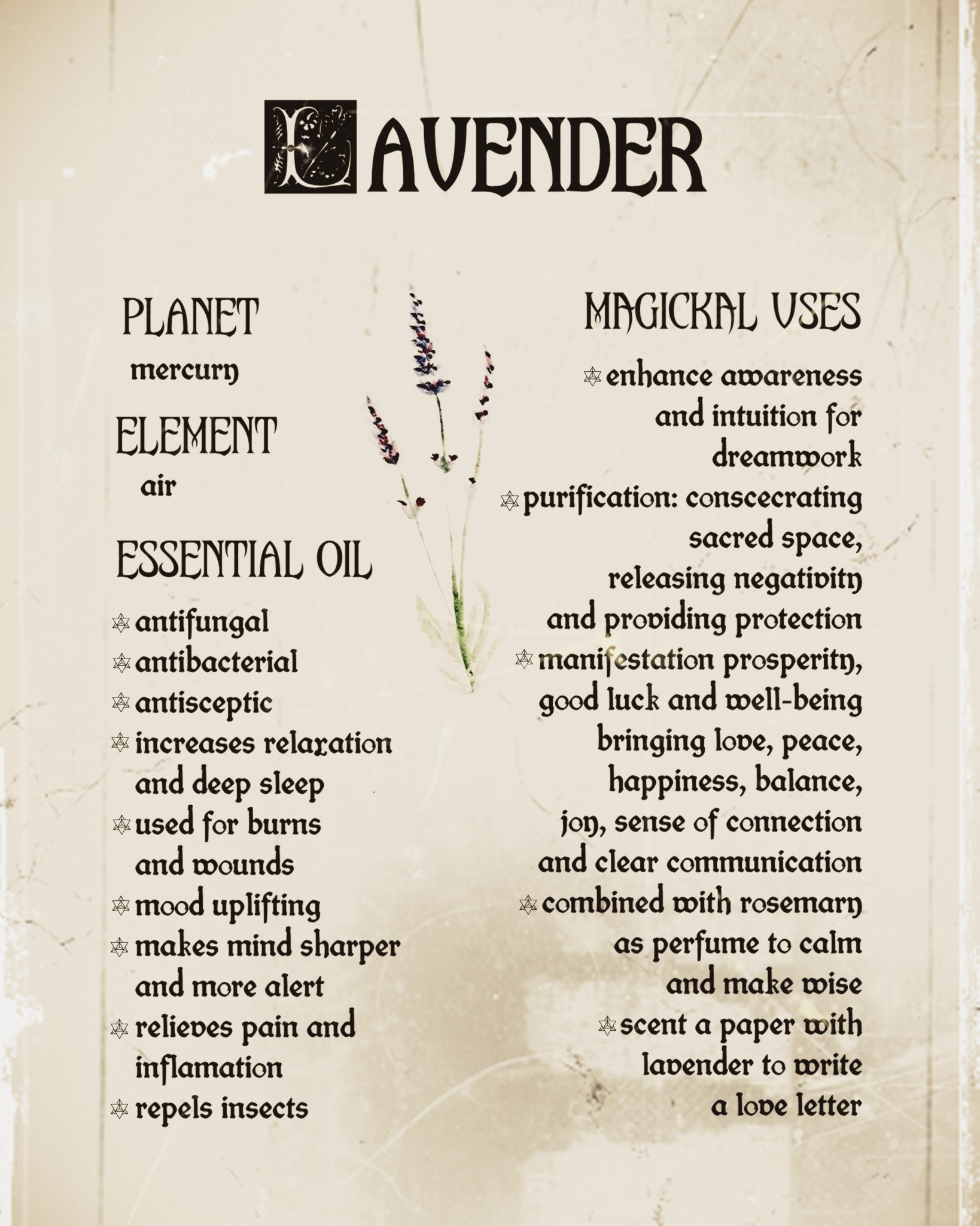 Lavender essential oil benefits and uses in alchemy, magick and spagyrics