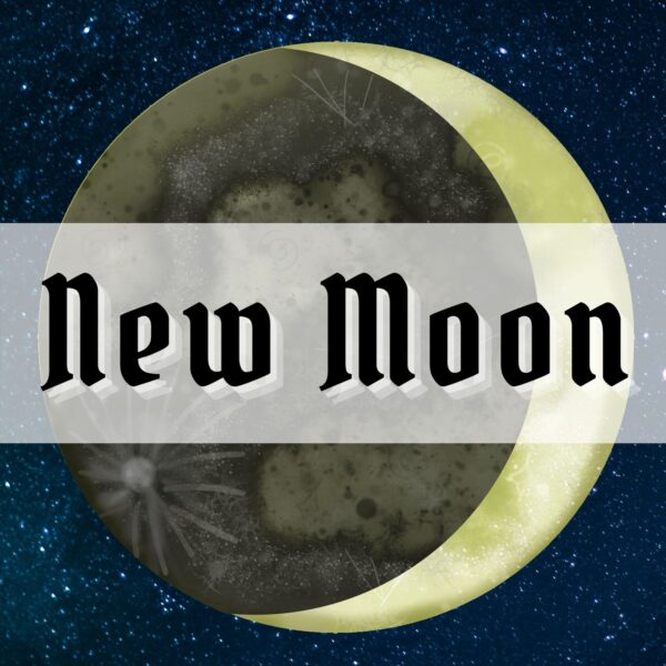 Dark Moon Magic - 9 Spells and Rituals for Beginner Witches ⋆ Witch Journal
