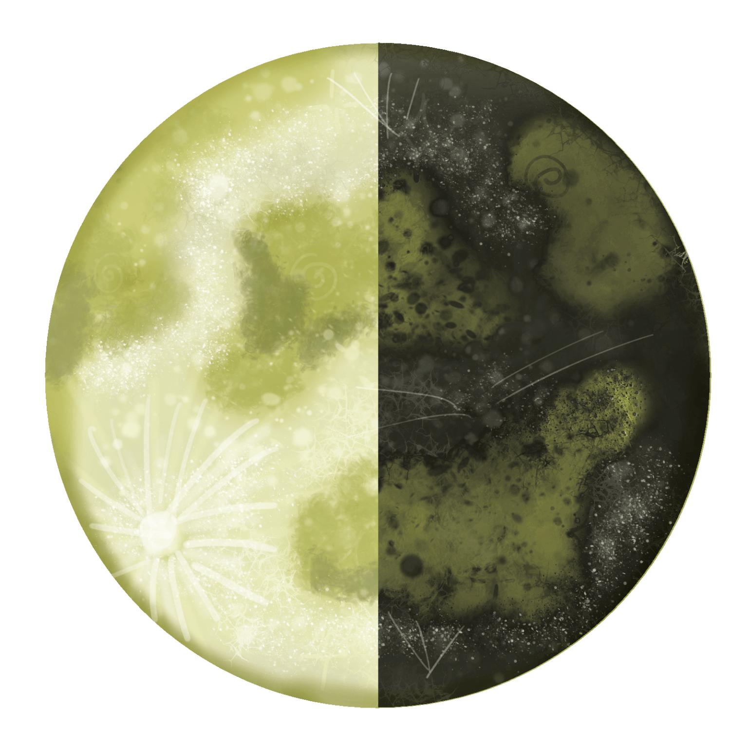 Waning Moon Magic for 2024 - Waning Gibbous Spells, Last Quarter Spells ...