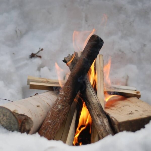 How to celebrate Yule 2023? Best ideas for Winter Solstice – Wheel of ...