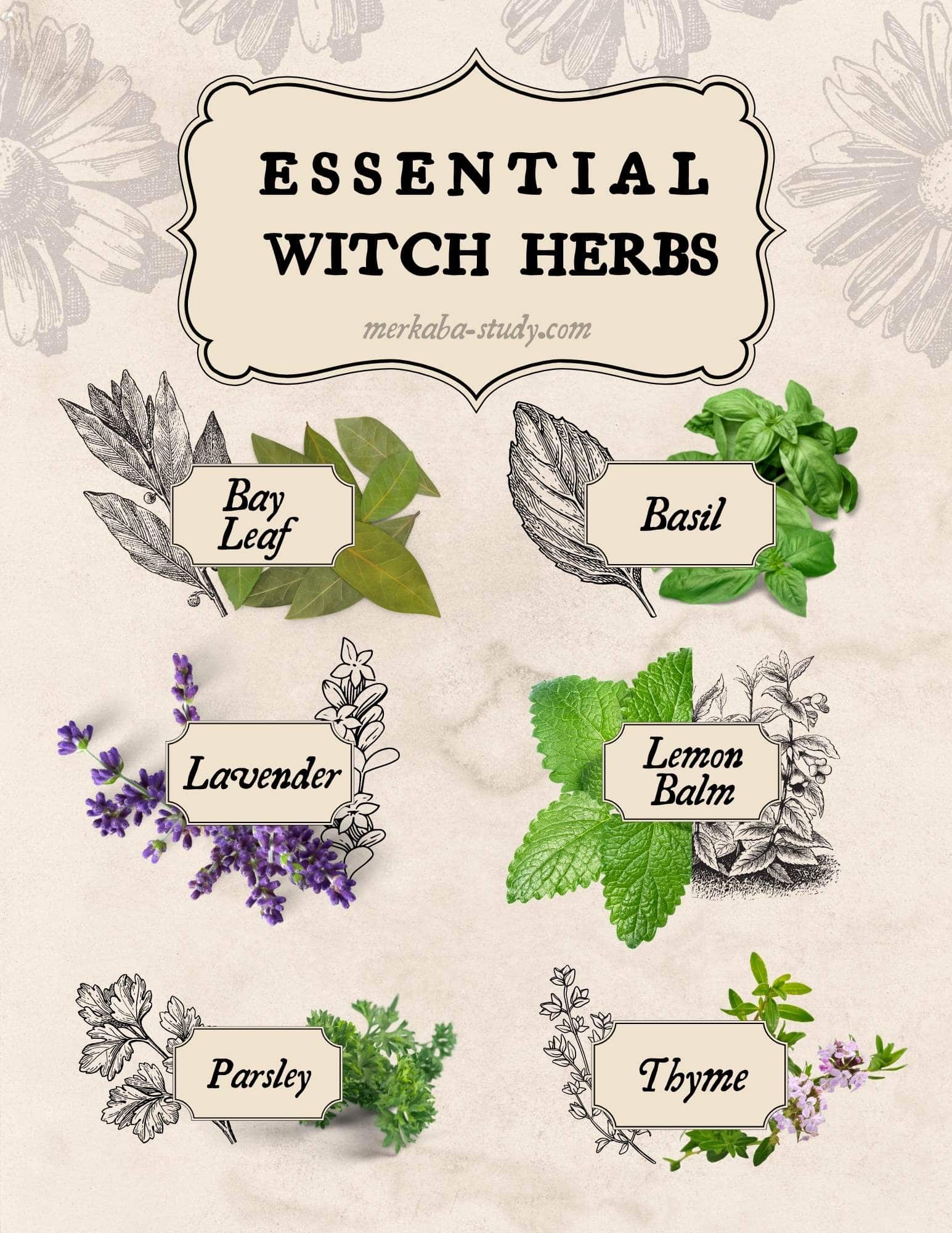 11 Baby Witch Tips - How to Start the Witchcraft Journey in 2024? ⋆ ...