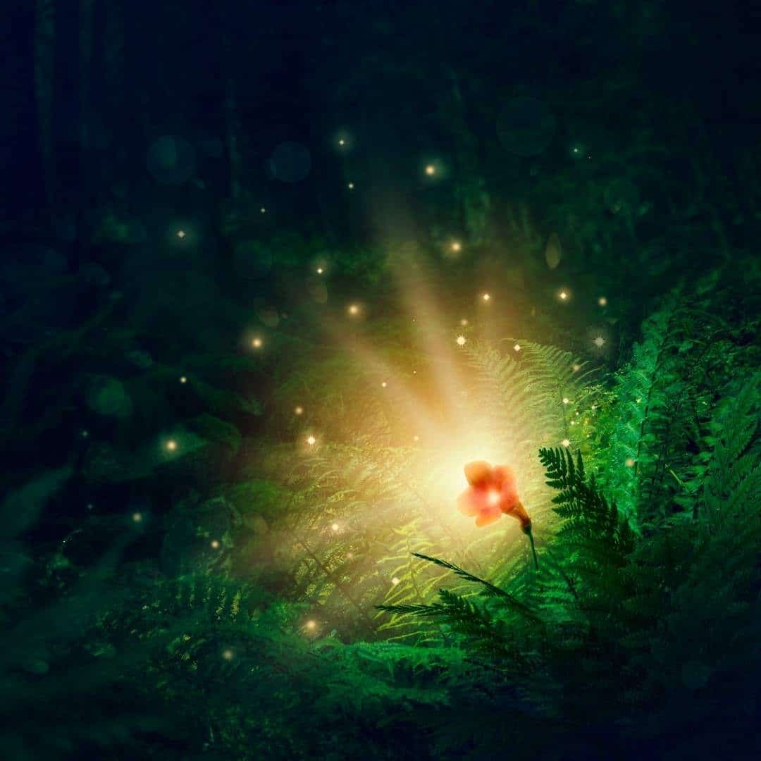 Litha 2023 - Magical Summer Solstice Rituals to Try ⋆ Witch Journal