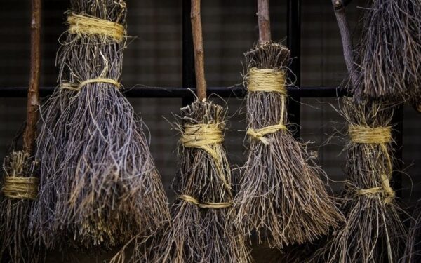 Over 40 Powerful Witch Ingredients and Tools that You Should Have in ...