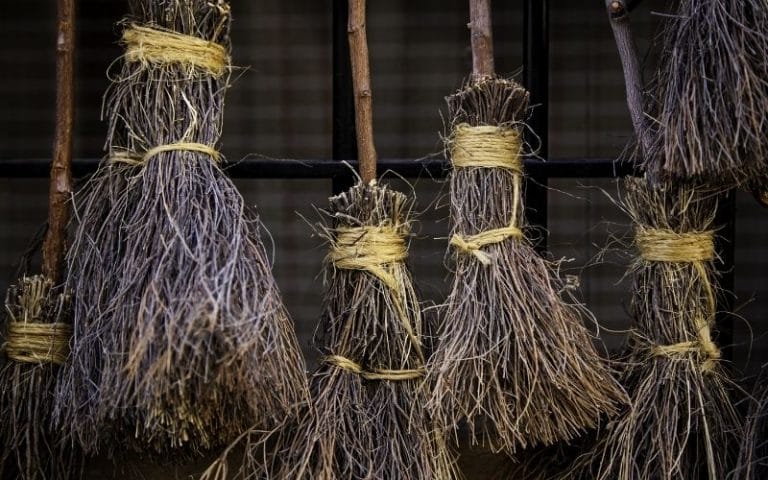 Over 40 Powerful Witch Ingredients and Tools that You Should Have in ...