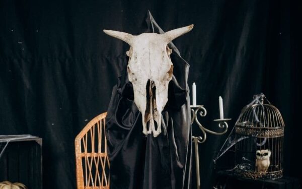 Over 40 Powerful Witch Ingredients and Tools that You Should Have in ...