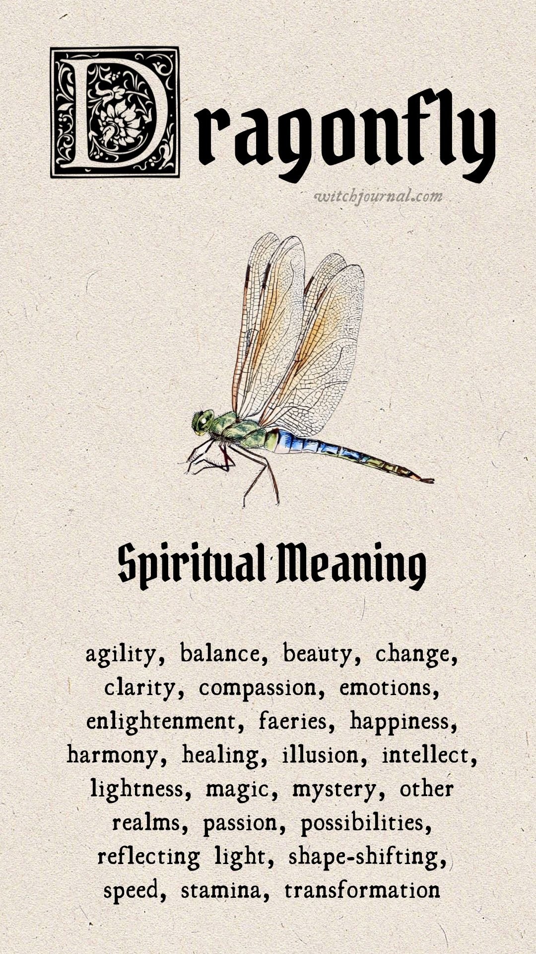  2023 Dragonfly Meaning Unraveling The Spiritual Messages Of This